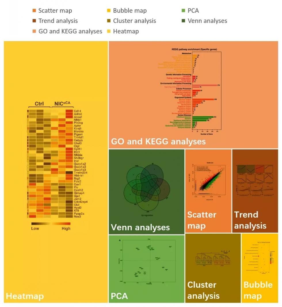 52篇SCI引用OmicShare云平台！-基迪奥生物